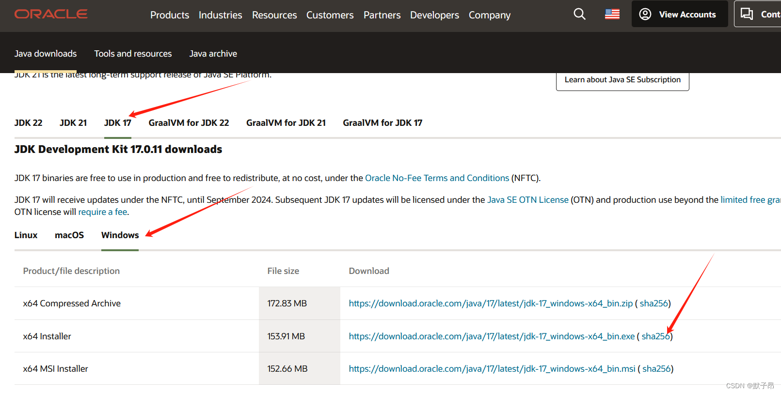 Java学习 （一） 环境安装及入门程序_java 17.0.11-CSDN博客