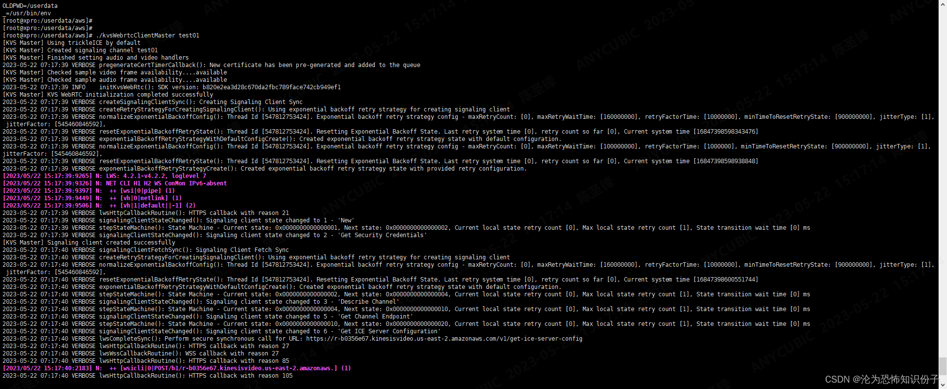linux c交叉编译amazon-kinesis-video-streams-webrtc-sdk-c_webrtc_沦为恐怖知识份子-华为开发者空间