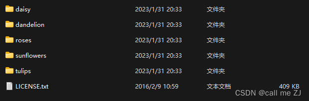Pytorch复现RepVGG模型，实现花分类_pip install repvgg-CSDN博客