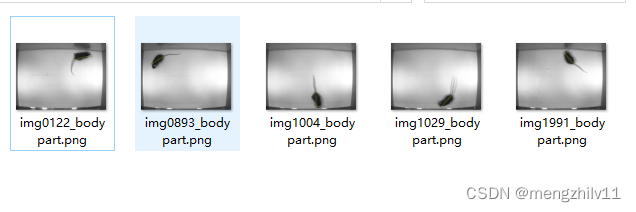 DeeplabCut入门学习笔记-CSDN博客