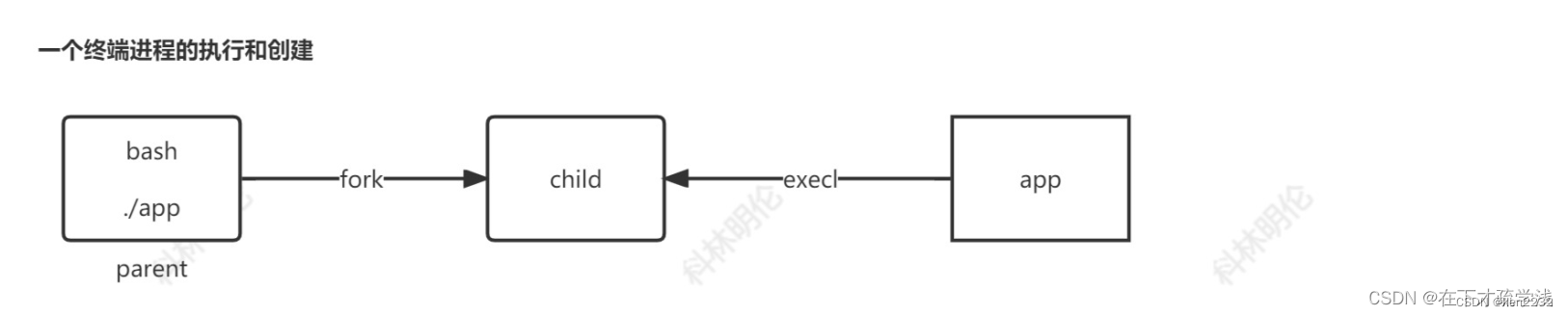 Linux下system () 函数详解简介，system()与execl()的区别，popen()_linux system-CSDN博客