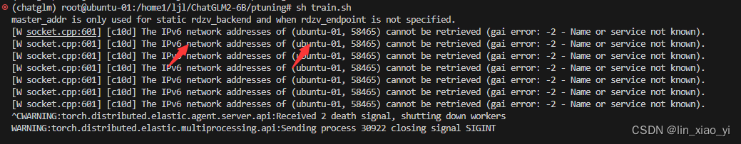 [W socket.cpp:601] [c10d] The IPv6 network addresses of (ubuntu-01, 58465) cannot be retrieved ...