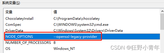 微信开发者工具 扩展宿主意外终止 --openssl-legacy-provider is not allowed in NODE_OPTIONS-CSDN博客
