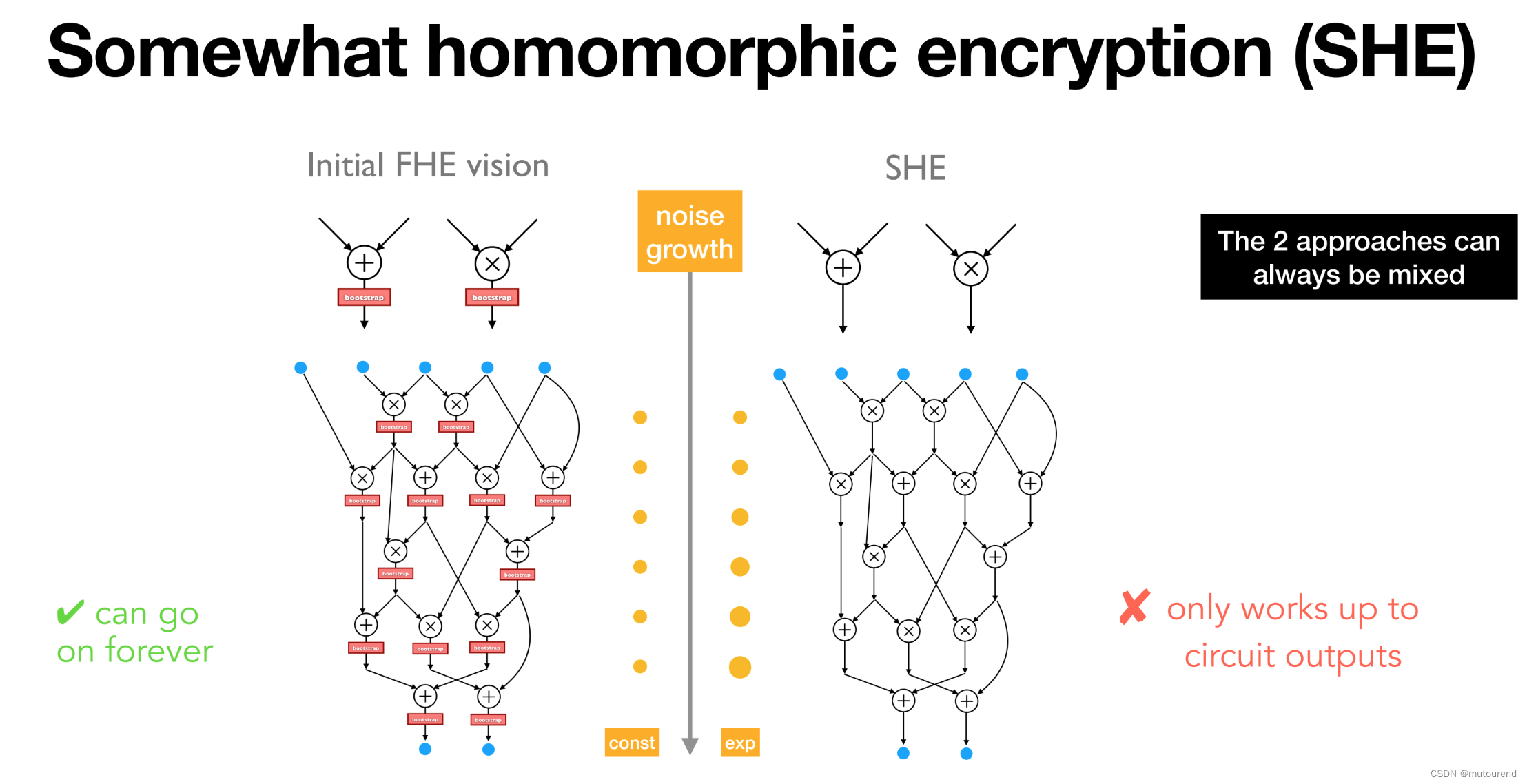 FHE全同态加密介绍——小白版-CSDN博客