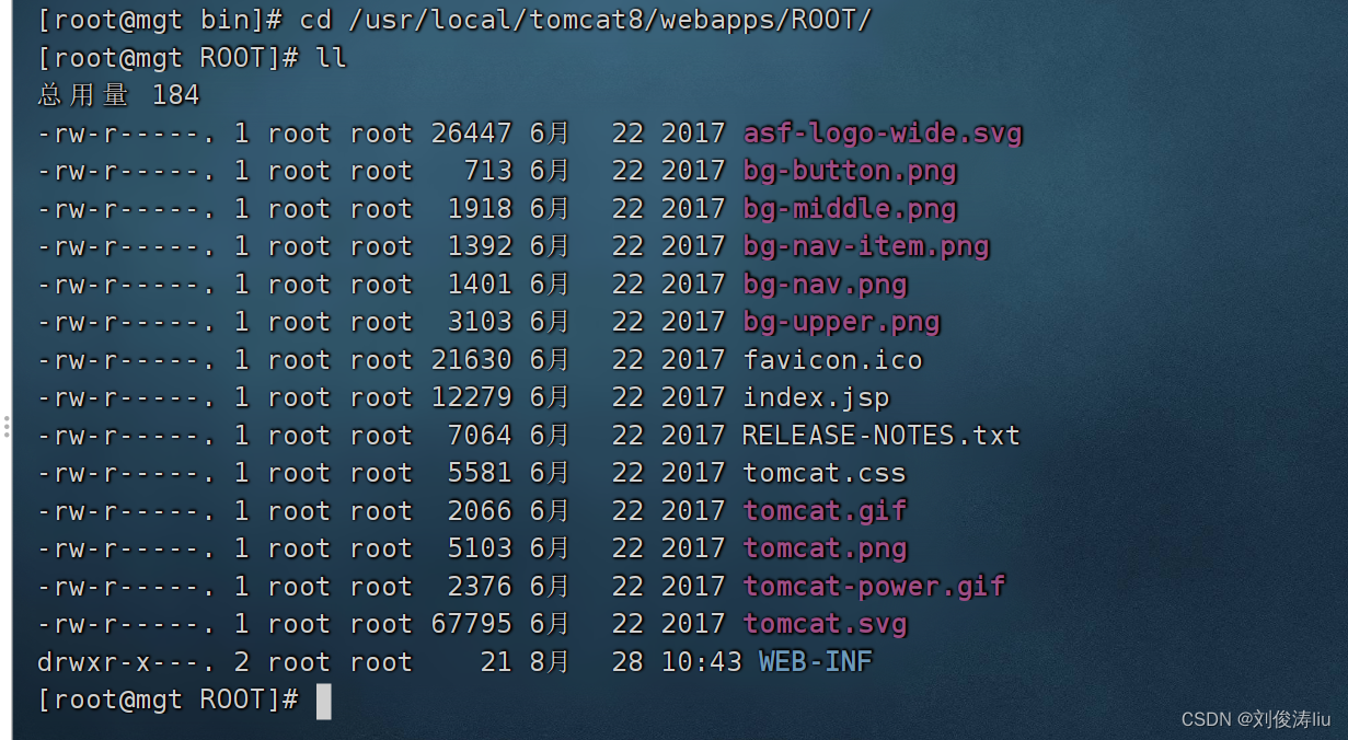 小白带你学习linux的LNMT和动静分离（三十九）-CSDN博客