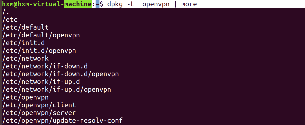 Ubuntu搭建openvpn服务器-CSDN博客