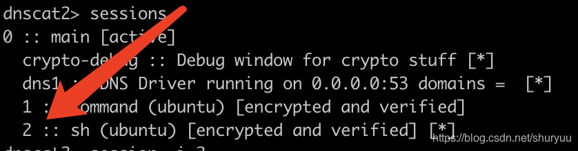 DNScat2工具:通过DNS进行C&C通信 DNS隧道 DNS端口转发 DNS反弹shell_c&c dns外带-CSDN博客