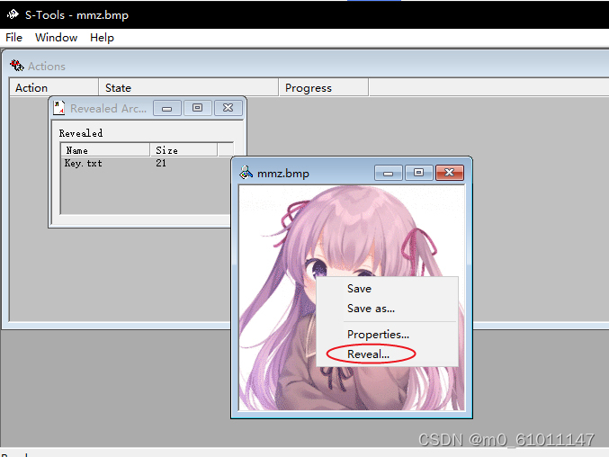 CTF杂项南城旧梦-BugKu_snow隐写工具-CSDN博客