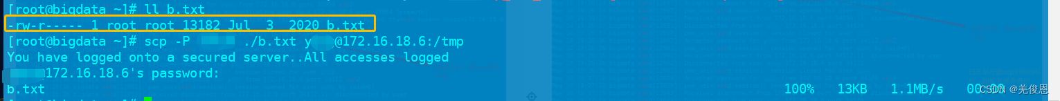 Linux scp报错：bash: /bin/scp: Permission denied_scp permission denied lost connection-CSDN博客