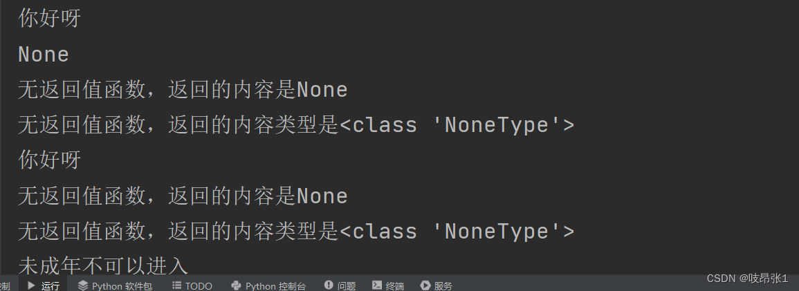 Python——演示特殊字面量None-CSDN博客