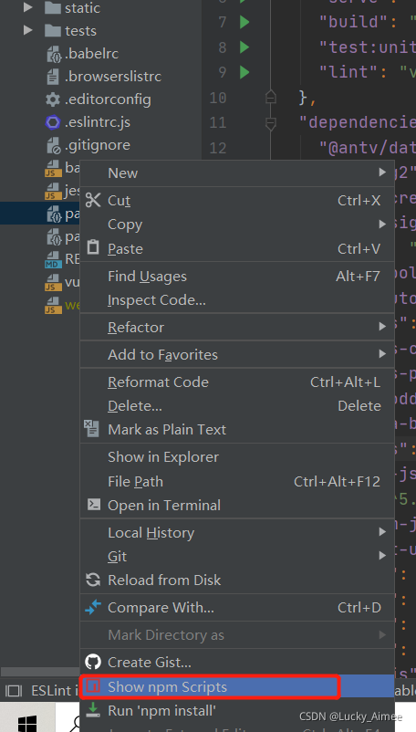 webstorm 打开npm命令板_webstorm 10 如何调出npm-CSDN博客