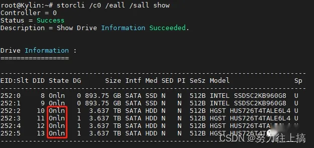 使用storcli/storcli64工具配置RAID-CSDN博客