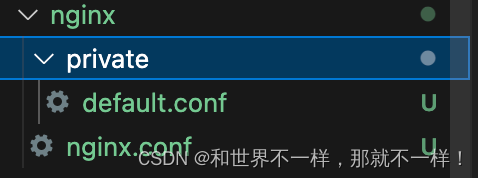 VUE 项目用 Docker+Nginx进行打包部署_docker+nginx部署vue-CSDN博客