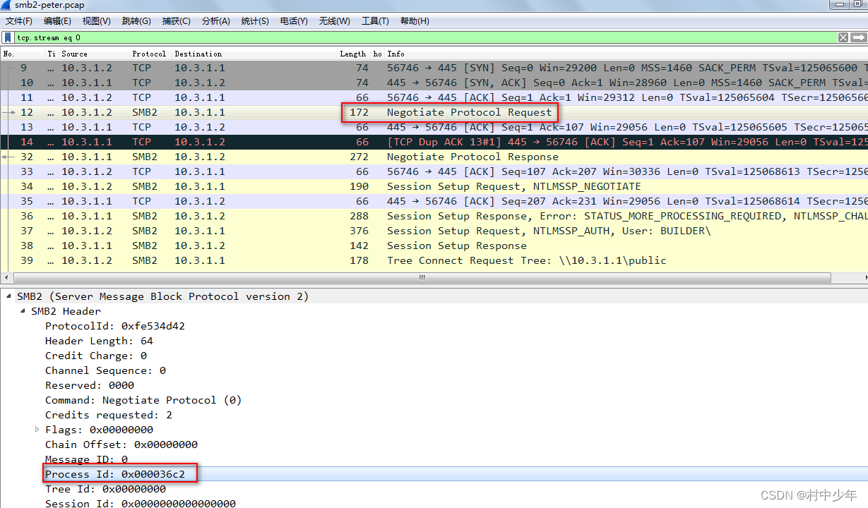 SMB 协议详解之-process/user/session/tree/message/file ID原理和数据包分析技巧_smb协议解析 ...