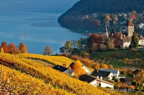 10分钟快速入门UI自动化-Puppeteer_puppeteer ui自动化-CSDN博客