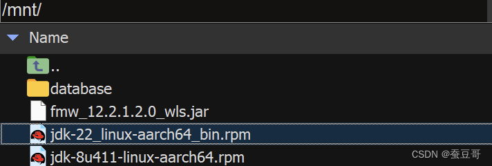Arm Linux Oracle Jdk 22 的下载安装及环境变量的配置jdk22环境变量配置 Csdn博客 0760