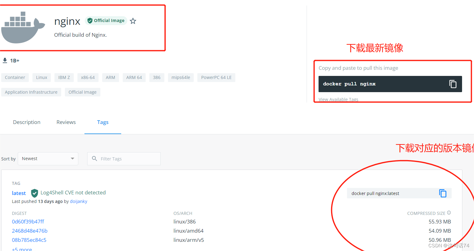 docker安装nginx_docker nginx 版本-CSDN博客