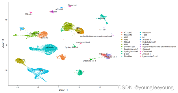 seurat dimplot标签重叠 有个参数repel 或者使用 ggrepel_dimplot参数-CSDN博客