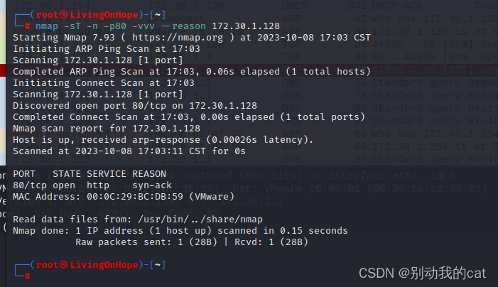 Nmap全扫描模式详解：SYN、TCP、UDP及特殊扫描技术-CSDN博客