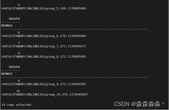 oracle 12.1 rac to rac adg（maa）搭建保姆级教程_oracle maa搭建-CSDN博客