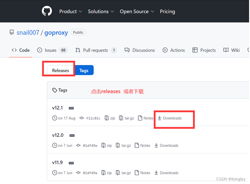proxy代理配置 goproxy 代理配置_goproxy代理配置-CSDN博客
