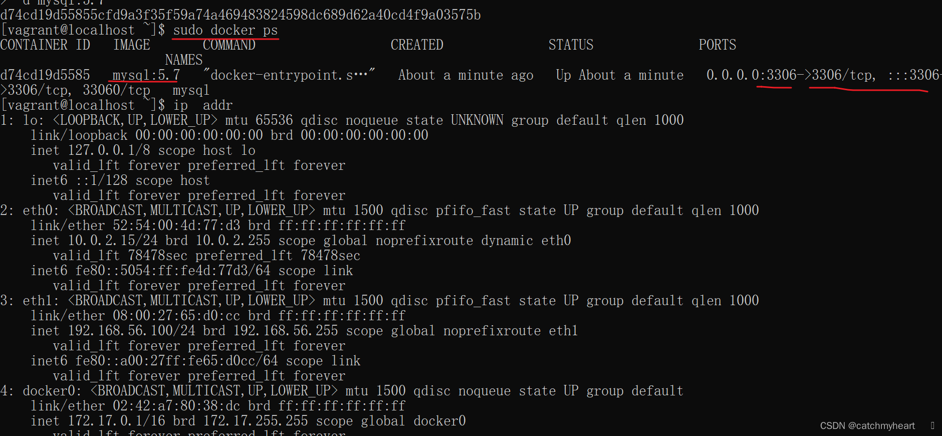vagrant如何快速安装centos/7+mysql（docker）_centos vagrant docker-CSDN博客