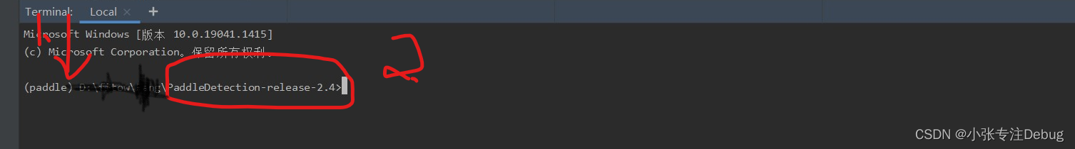 （从零开始包教会）windows下使用PP-human实现行人检测、目标追踪。_pphuman 行为检测-CSDN博客