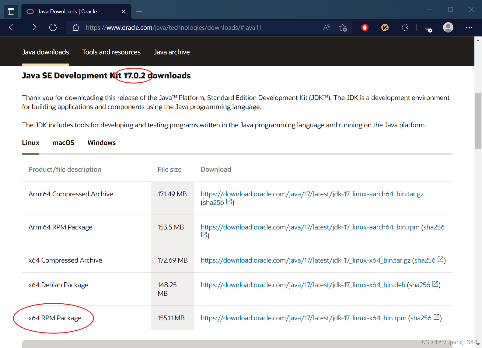 Linux下rpm安装jdk17_x64 rpm package-CSDN博客