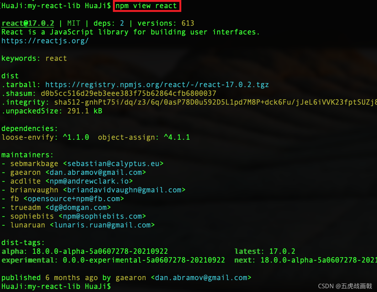 npm（二）：剖析 package.json_has incorrect peer dependency-CSDN博客
