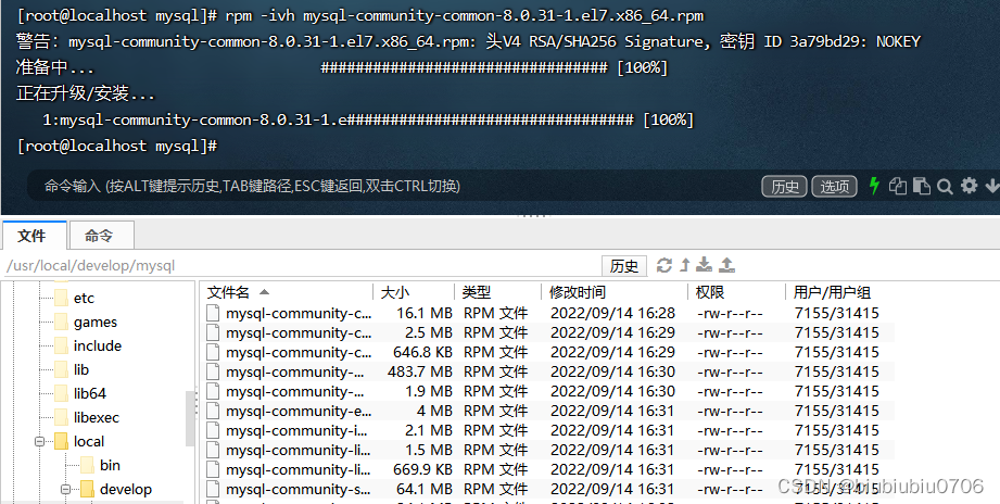 Linux安装Mysql8.0_linux 修改mysql的host为%-CSDN博客