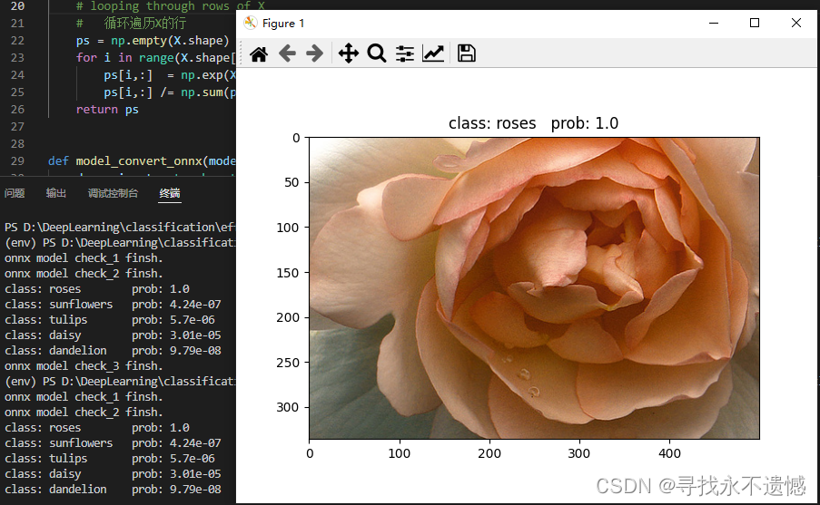 【mobilenetv2 pytorch-＞onnx】pytorch分类模型导出onnx模型并验证_mobilenetv2 onnx-CSDN博客