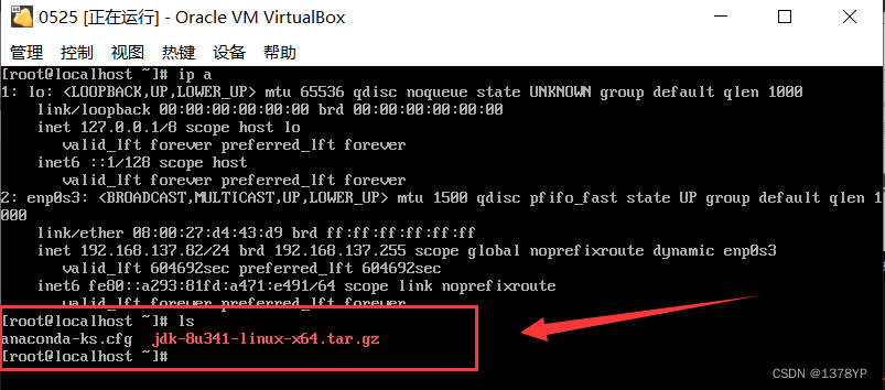 Linux虚拟机安装JDK（非openjdk）_在虚拟机上通过官网下jdk试试-CSDN博客