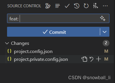 小程序：project.config.json / project.private.config.json / 项目配置文件 /拉取代码产生冲突 / 如何解决-CSDN博客