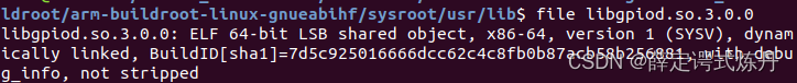 .so: file not recognized: file format not recognized-CSDN博客
