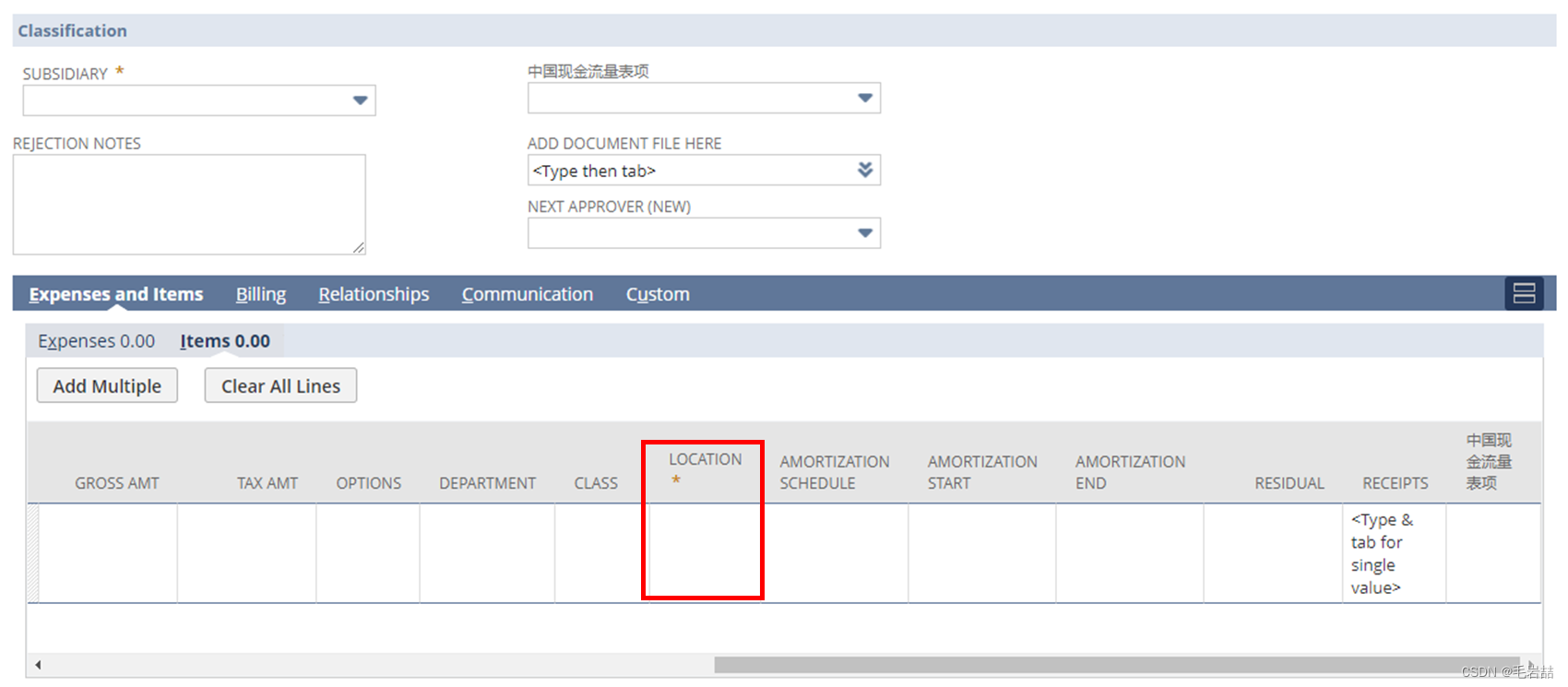 NetSuite Classifications的注意事项_netsuite认证考试-CSDN博客