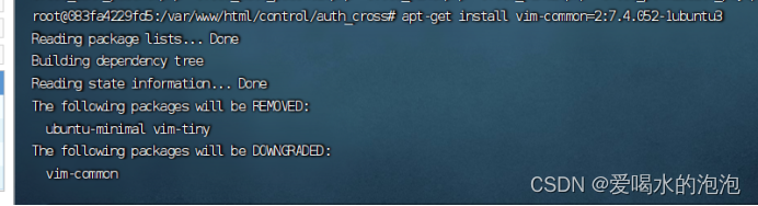 docker里面不能使用vim的解决办法_docker 中vi命令失效-CSDN博客