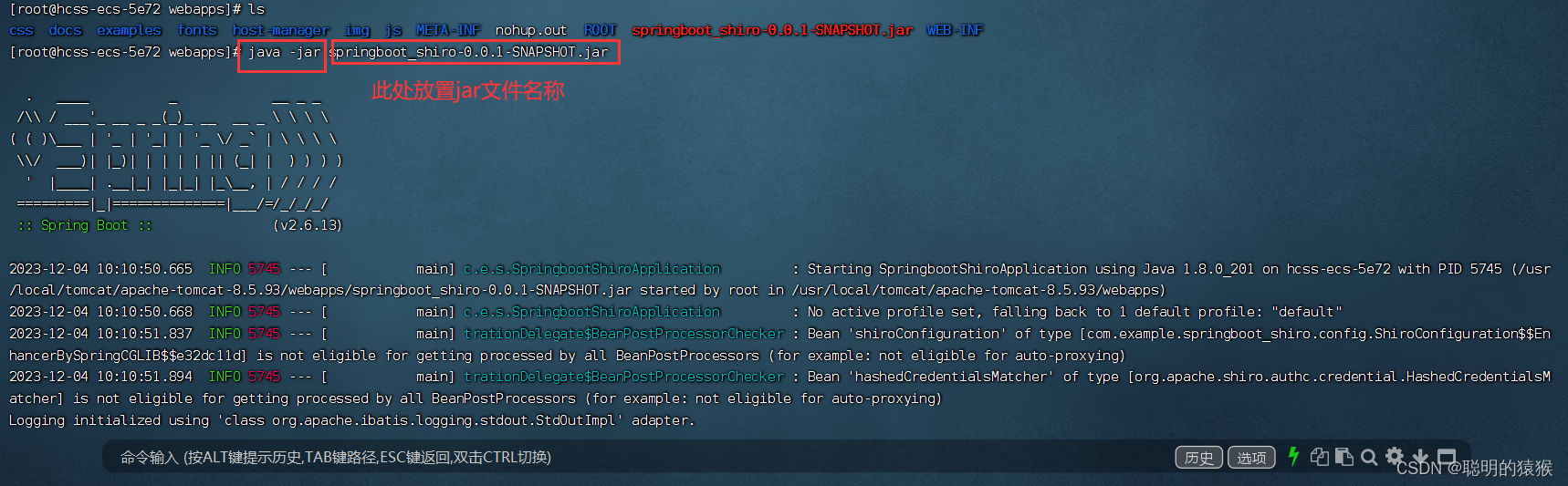 在Linux中部署Spring Boot项目 超级简单 详细教程_linux 部署springboot项目-CSDN博客