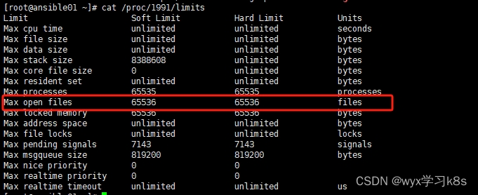 linux最大线程数限制及打开最大文件数_max user processes-CSDN博客