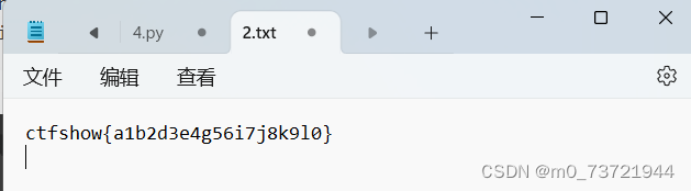CTF挑战：使用010Editor解码技巧,-CSDN博客