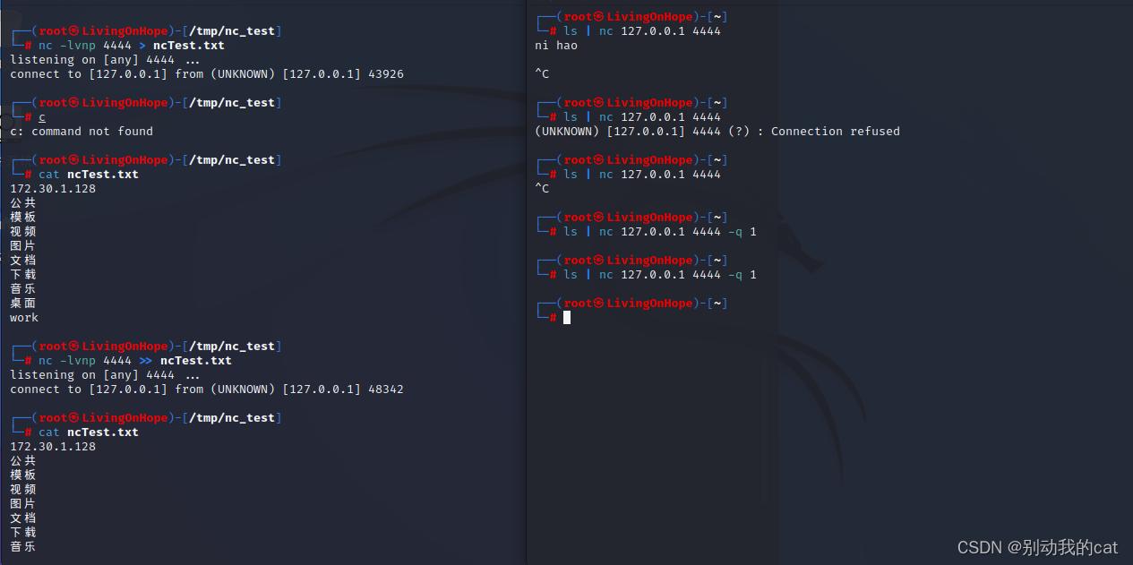 NetCat(NC)详细教程-CSDN博客