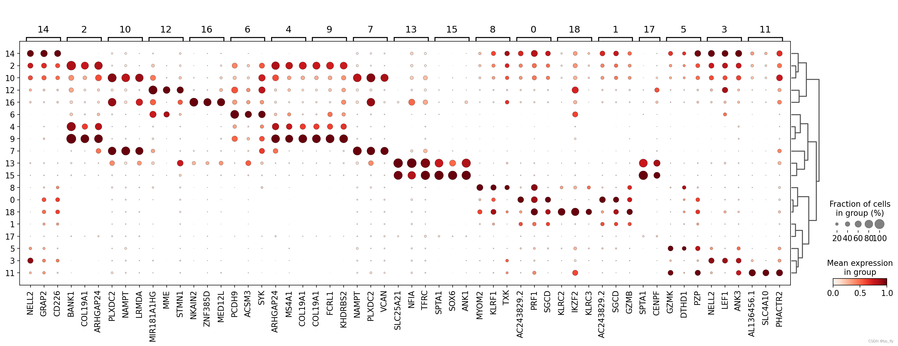 3.基于python的scRNA-seq细胞类型注释-手动注释_python 细胞注释-CSDN博客
