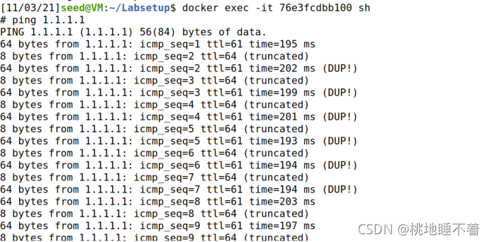 从入门到入土： Seed Lab Packet Sniffing And Spoofing Lab嗅探与欺骗实验详细说明实验步骤实验截图seed Lab实验 Csdn博客