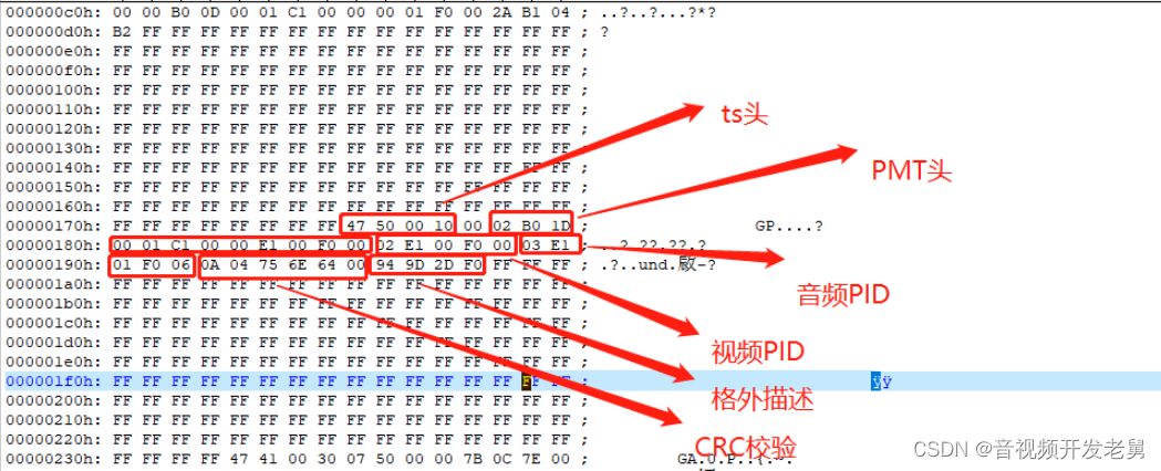 PAT/PMT/PES表详解：TS包结构与音视频节目PID解析-CSDN博客