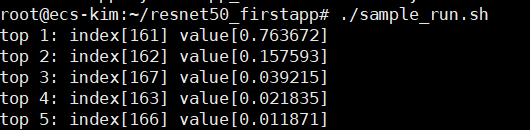 华为CANN训练营笔记[2]——环境搭建与样例试运行_ddk acl cann-CSDN博客