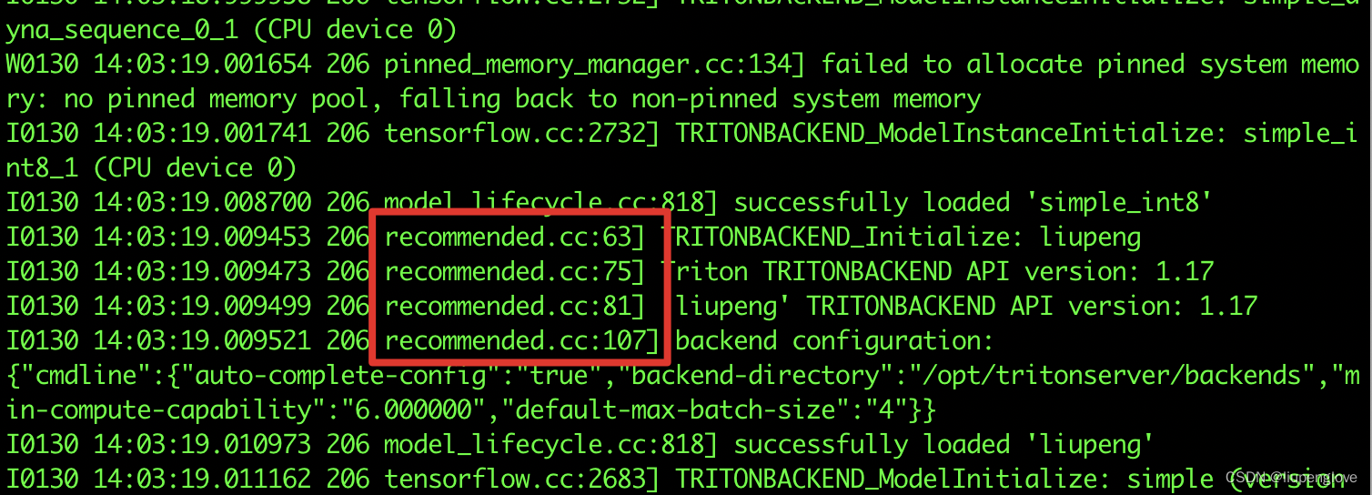 tritonserver学习之六：自定义c++、python custom backend实践_triton c++-CSDN博客