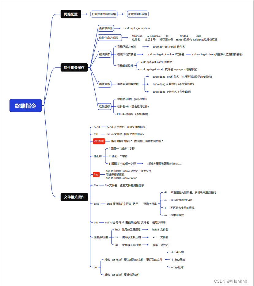 C高级Day1作业-CSDN博客
