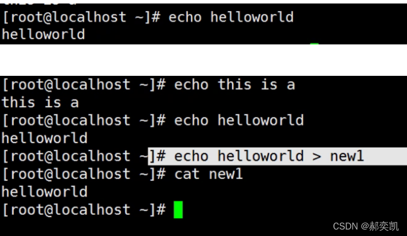 Linux命令行操作与文本处理详解-CSDN博客