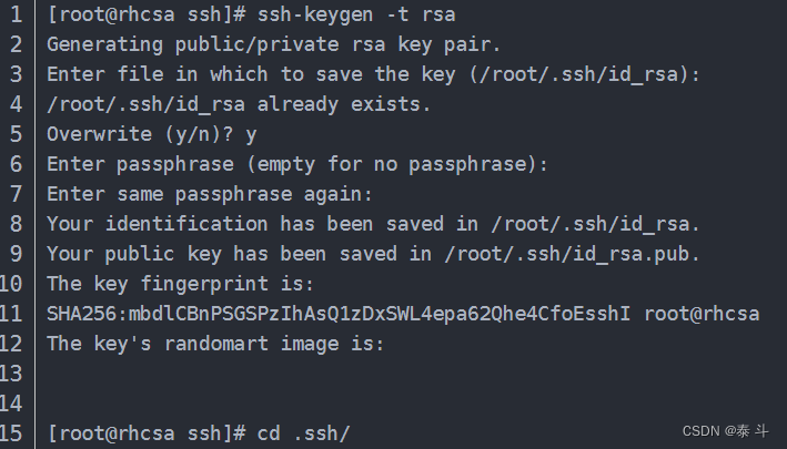 Linux运维与开发实战：AT/Cron、SSH、虚拟主机与SSL-CSDN博客