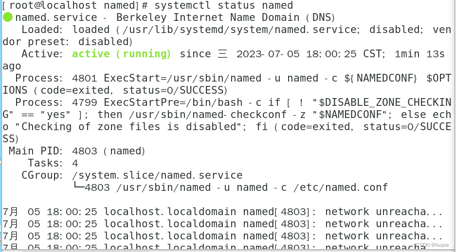 Linux系统中—DNS服务器（一）_linux dns server-CSDN博客