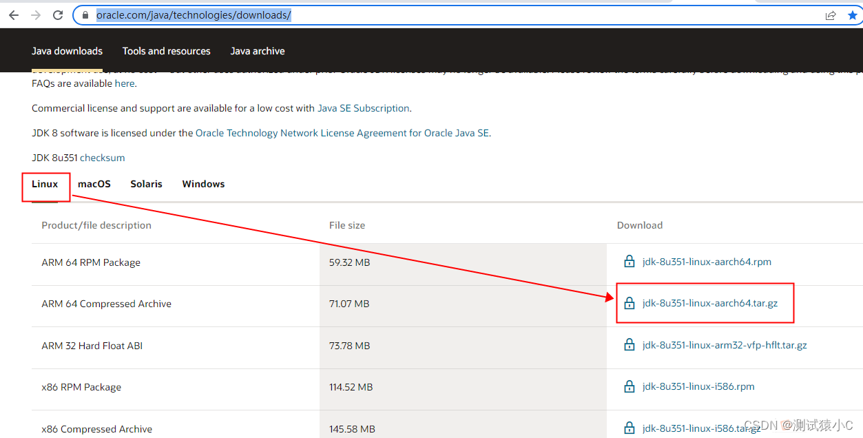 Linux系统下jdk安装详细步骤_怎么将jdk拷贝到software中-CSDN博客